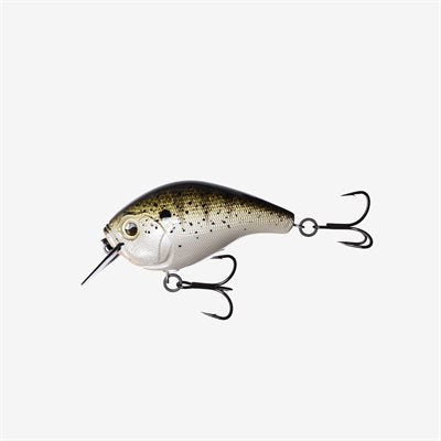 Scamp 70 Square Bill Crankbait – Brian Latimer
